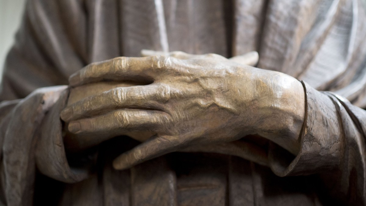 De aderen, de adem – Taaldacht